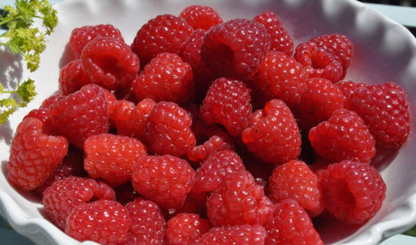 The recipe for raspberry jam for the winter "Pyatiminutka" and ...